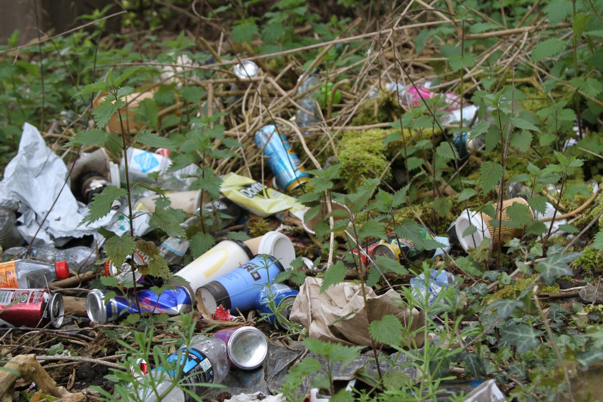 Litter Letter – Living Laudato Si'