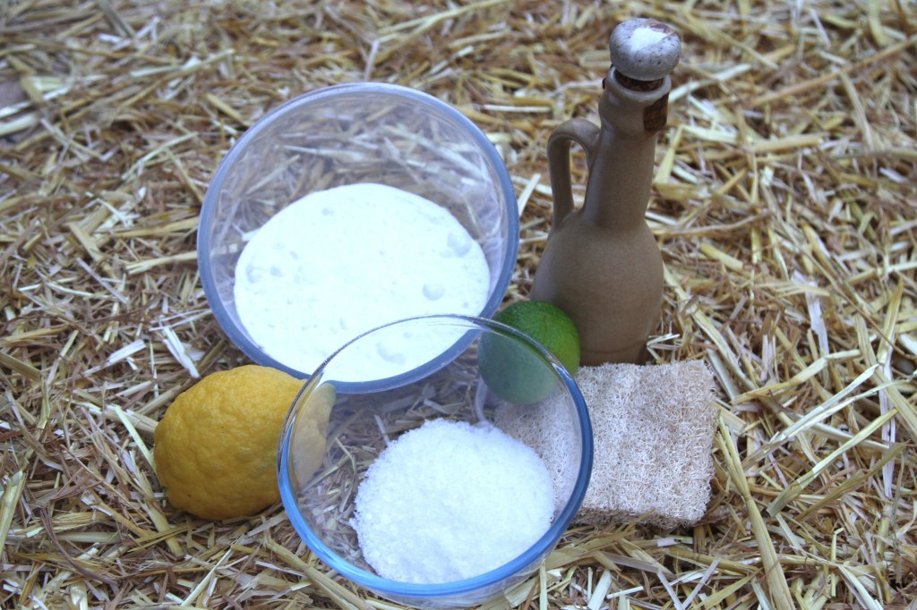 Making Cleaning Products – Read More – Living Laudato Si'